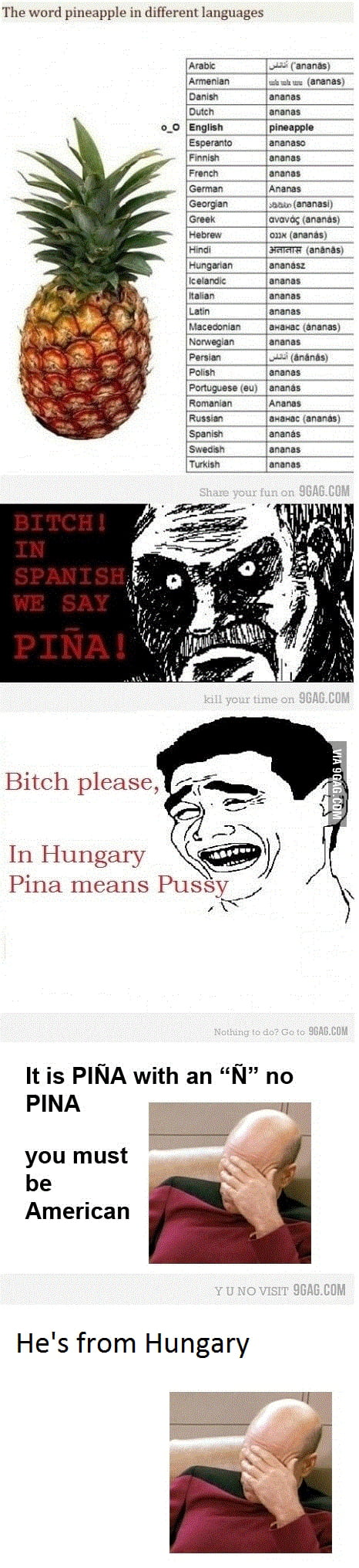 Ananas [FIXED] [FIXED] [FIXED] - 9GAG