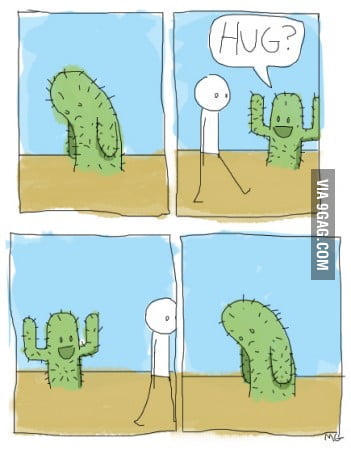 Hug Cactus ? - 9GAG
