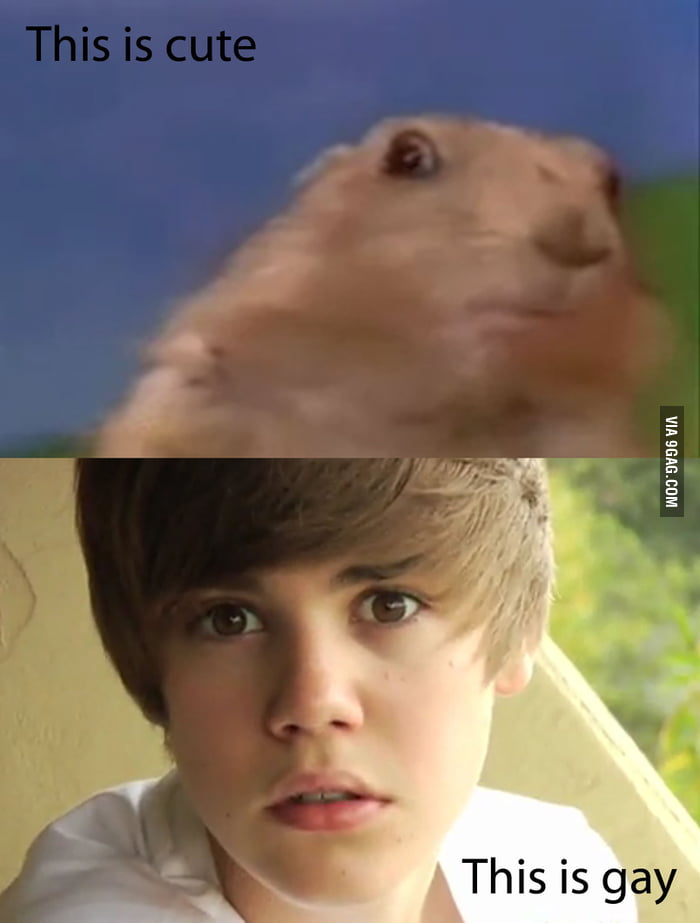 Dramatic Look's - 9GAG