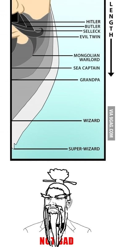 Beard Epicness [Fixed] - 9GAG