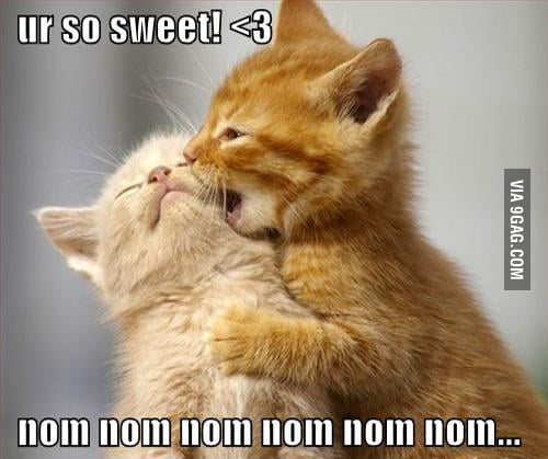 So Sweet - 9GAG