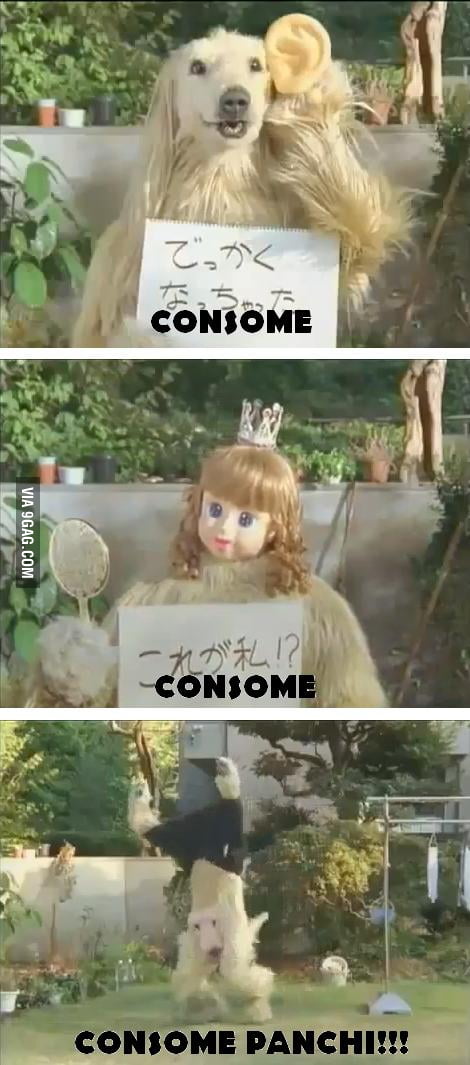 Consome panchi - 9GAG