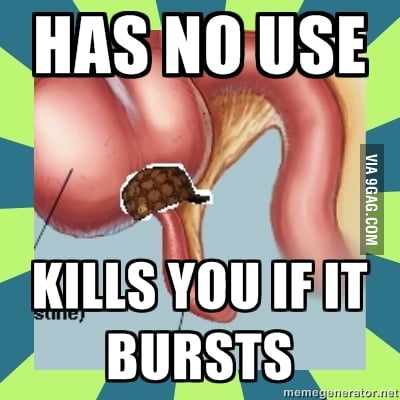 Scumbag appendix - 9GAG