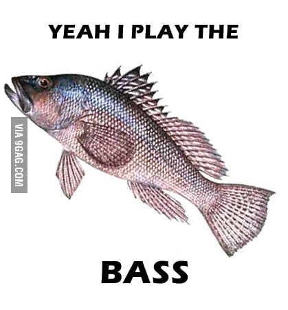 It's bass, not bass :) - 9GAG