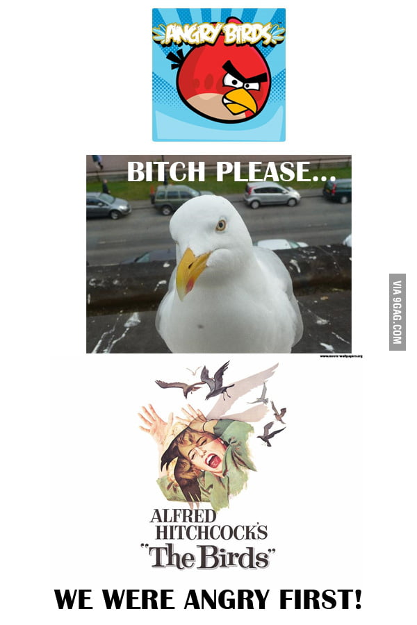 Really Angry Birds! - 9GAG