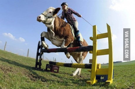 Reversed cowgirl - 9GAG