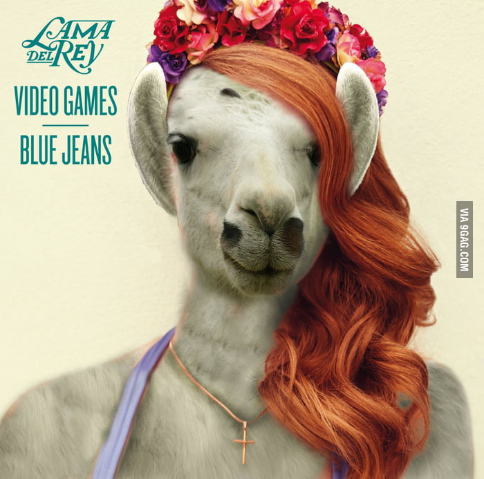 Lama del Rey - 9GAG