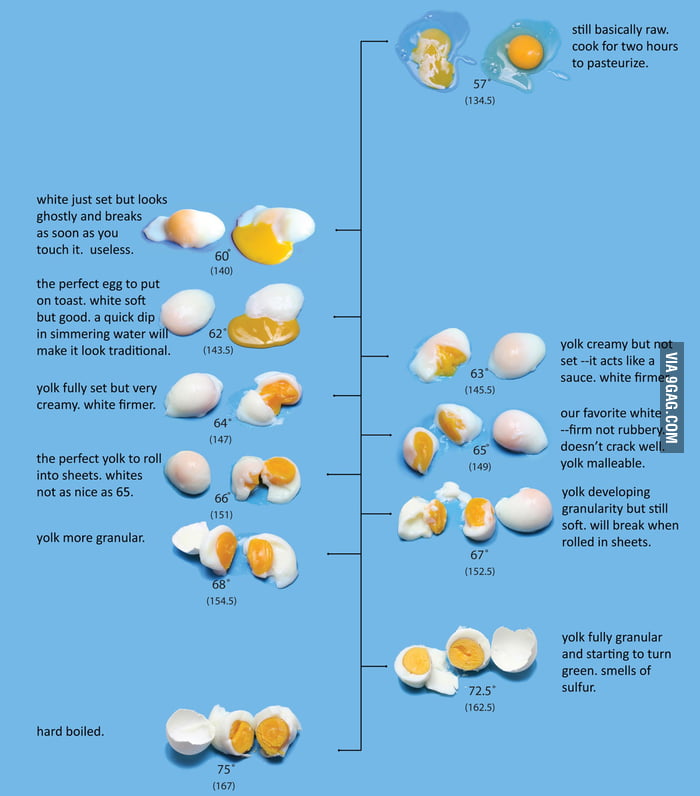 The Egg Chart - 9GAG