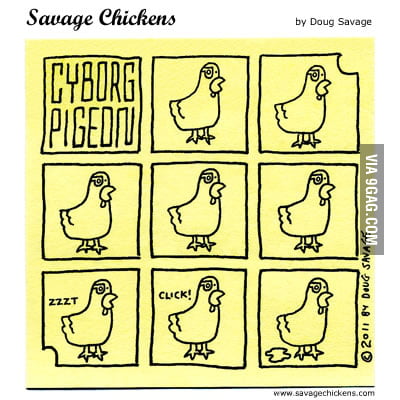 Cyborg Pigeon - 9GAG