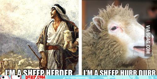 Derpy Sheep (hope it's not a repost) - 9GAG