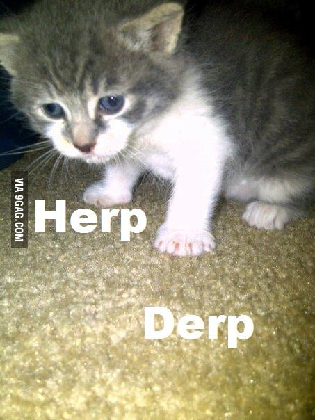 Herp Derp - 9GAG
