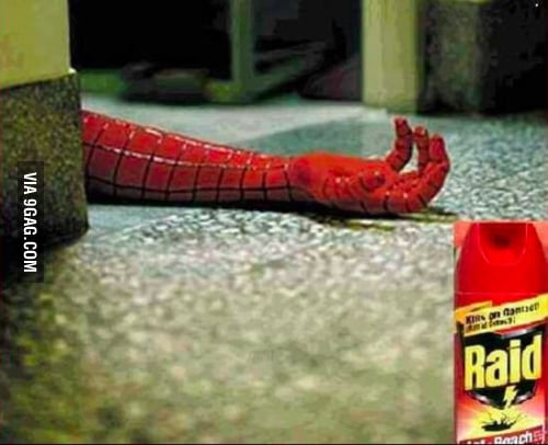 RIP Peter Parker - 9GAG