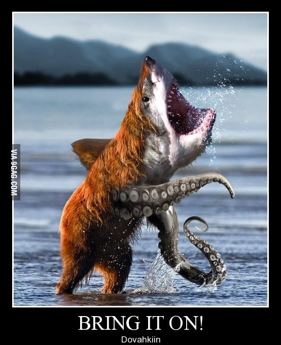 Just Bearsharktopus ! - 9GAG
