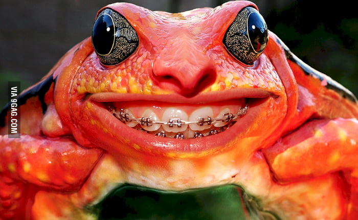 Awesome Toad is proud of his braces - 9GAG