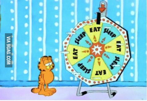 Garfield's wheel of chores - 9GAG