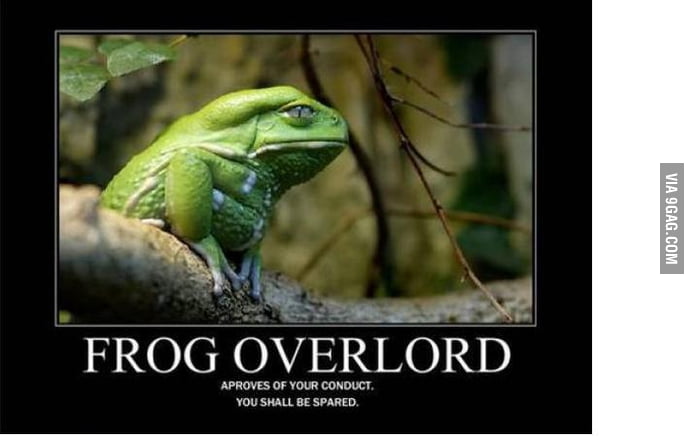 Like a frog boss - 9GAG