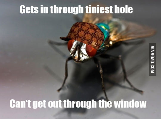 Scumbag Fly - 9GAG