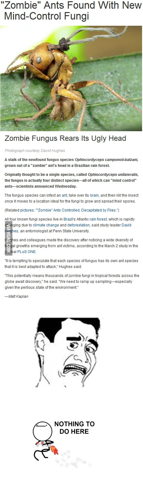 Zombie Mind-Control Fungi - 9GAG
