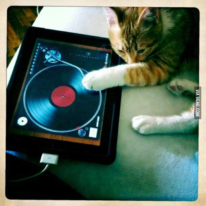 DJ Cat(pih) - 9GAG