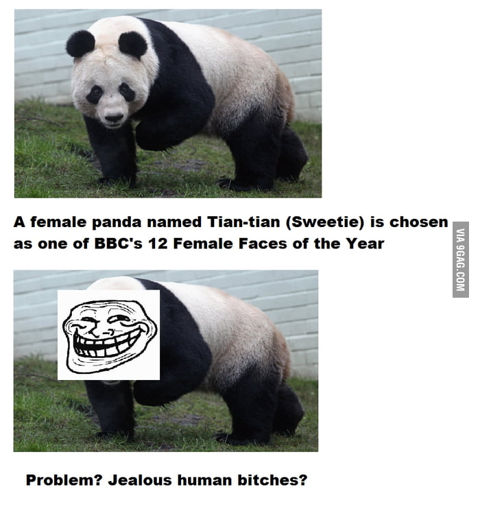 Troll Panda is Troll - 9GAG