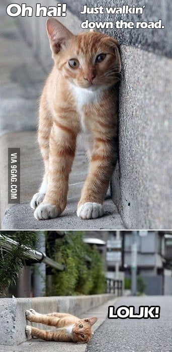O hai! - 9GAG
