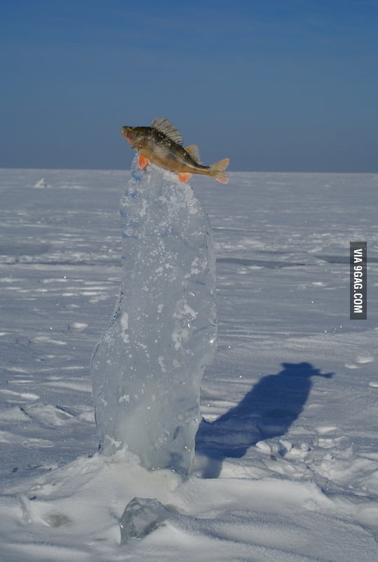 Fishing like a boss - 9GAG