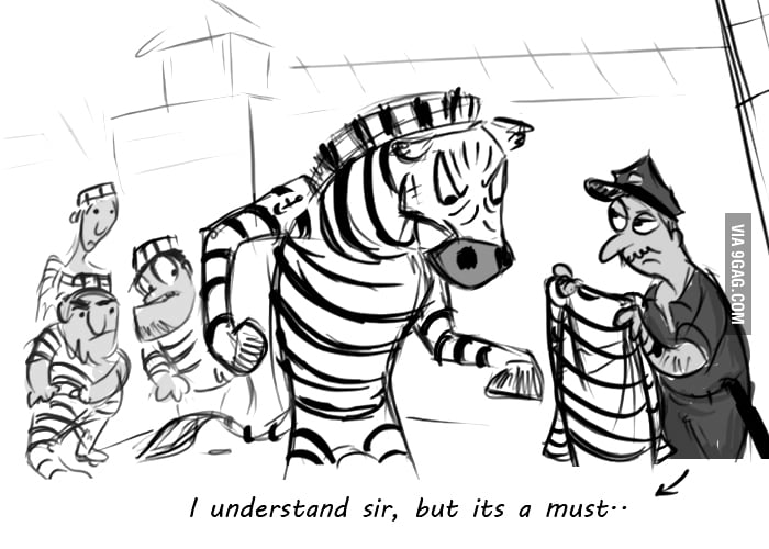 Zebra Prison - 9GAG