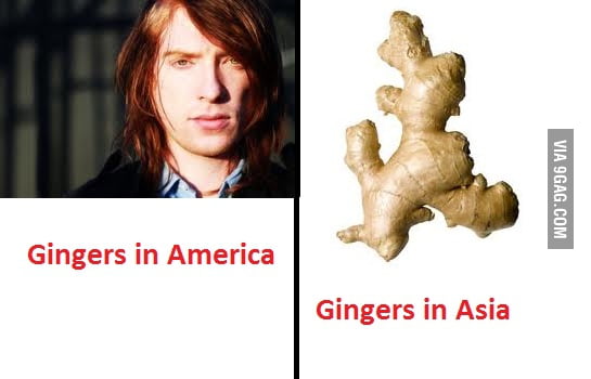 Gingers.... - 9GAG