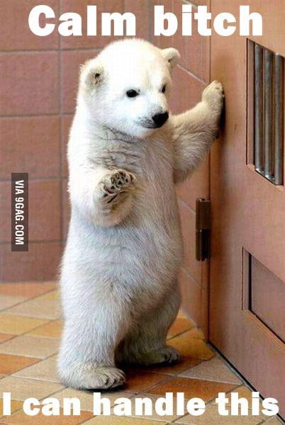 Calm B Tch 9gag