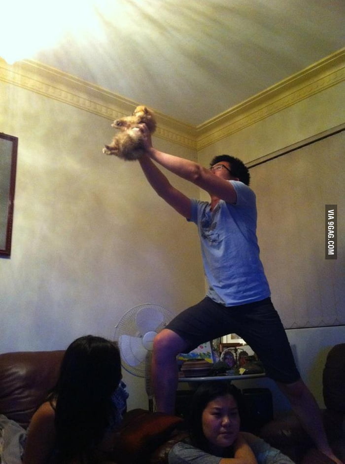 Born to be king. - 9GAG