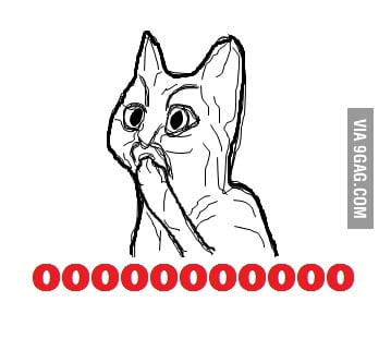 The new meme - "ooo cat" - 9GAG