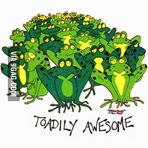 Toadily Awesome!! - 9GAG