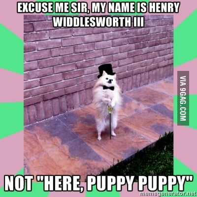 Gentleman Dog - 9GAG