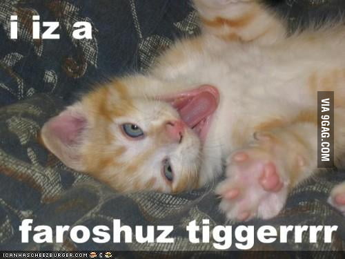 Furios tiger - 9GAG