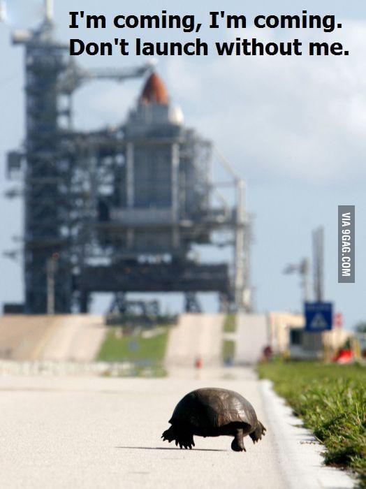 Run little one! Run like the wind. - 9GAG