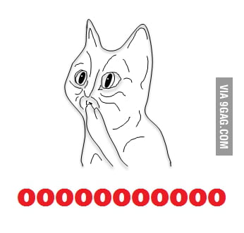 New meme - "ooo cat" (Improved) - 9GAG