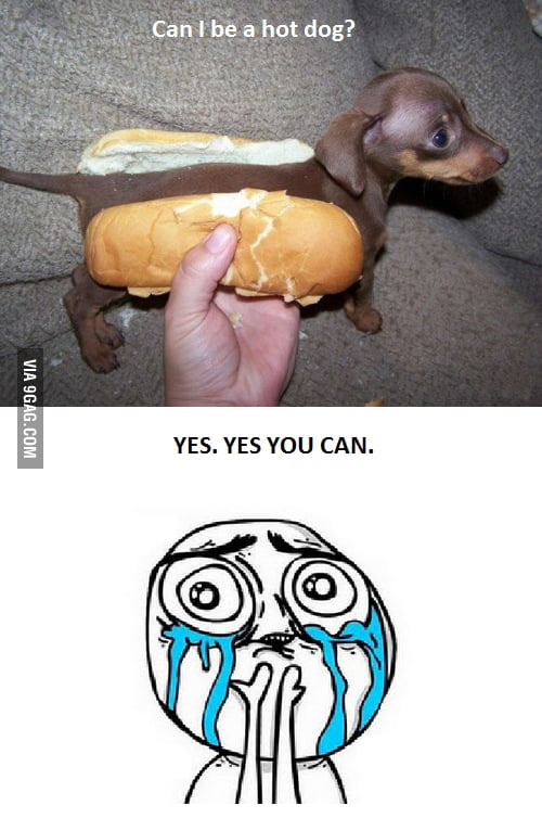 Literally hot dog is cute - 9GAG