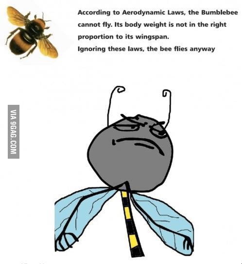 The Bumblebee…flies anyway - 9GAG