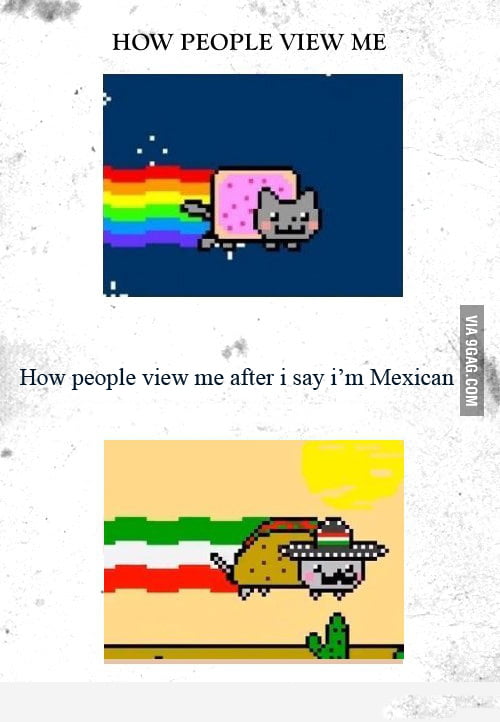 Mexican Nyan cat - 9GAG