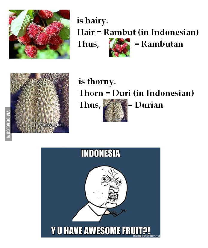 Epic Indonesia fruits is Epic - 9GAG
