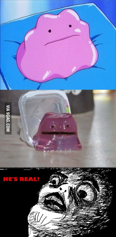 DITTO IS REAL - 9GAG