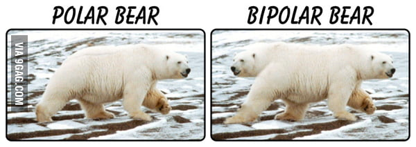 Bipolar beer - 9GAG