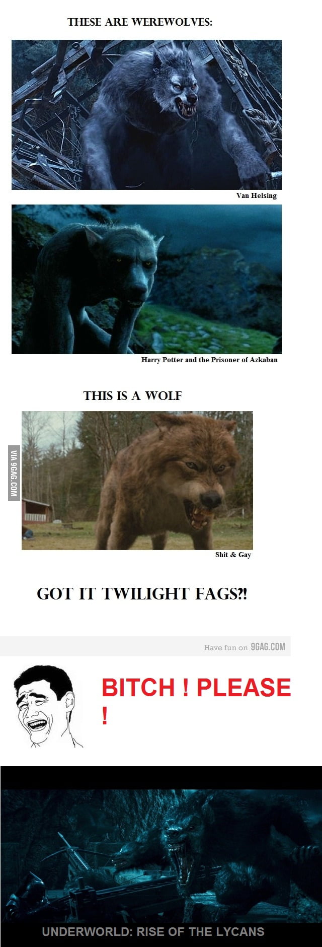 Not a werewolf [Fixed] - 9GAG