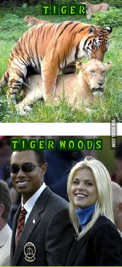 Interracial tigers - 9GAG