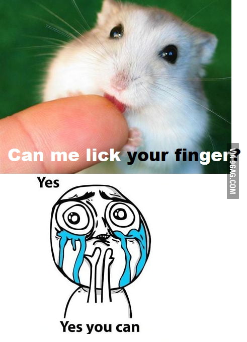 Cute Finger Lick 9gag