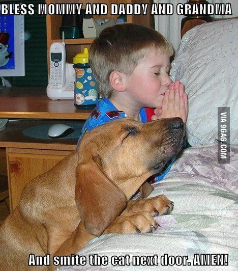 Shhhh! the dog is in Prayer! - 9GAG