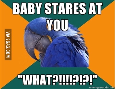 Staring babies - 9GAG