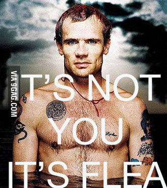 It´s Flea! - 9GAG