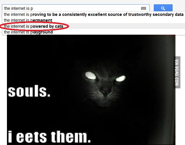 STOP POSTING CATS!!! - 9GAG