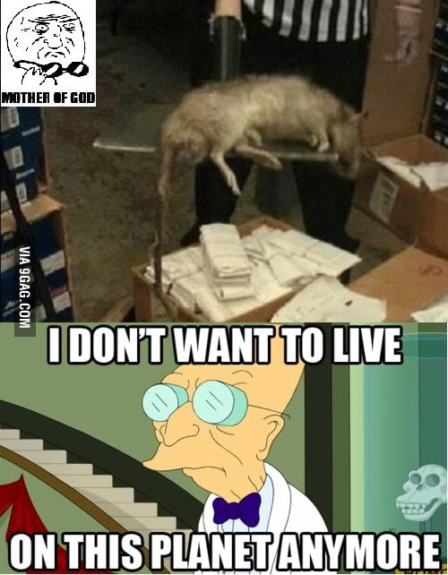 Mr. Splinter - 9GAG